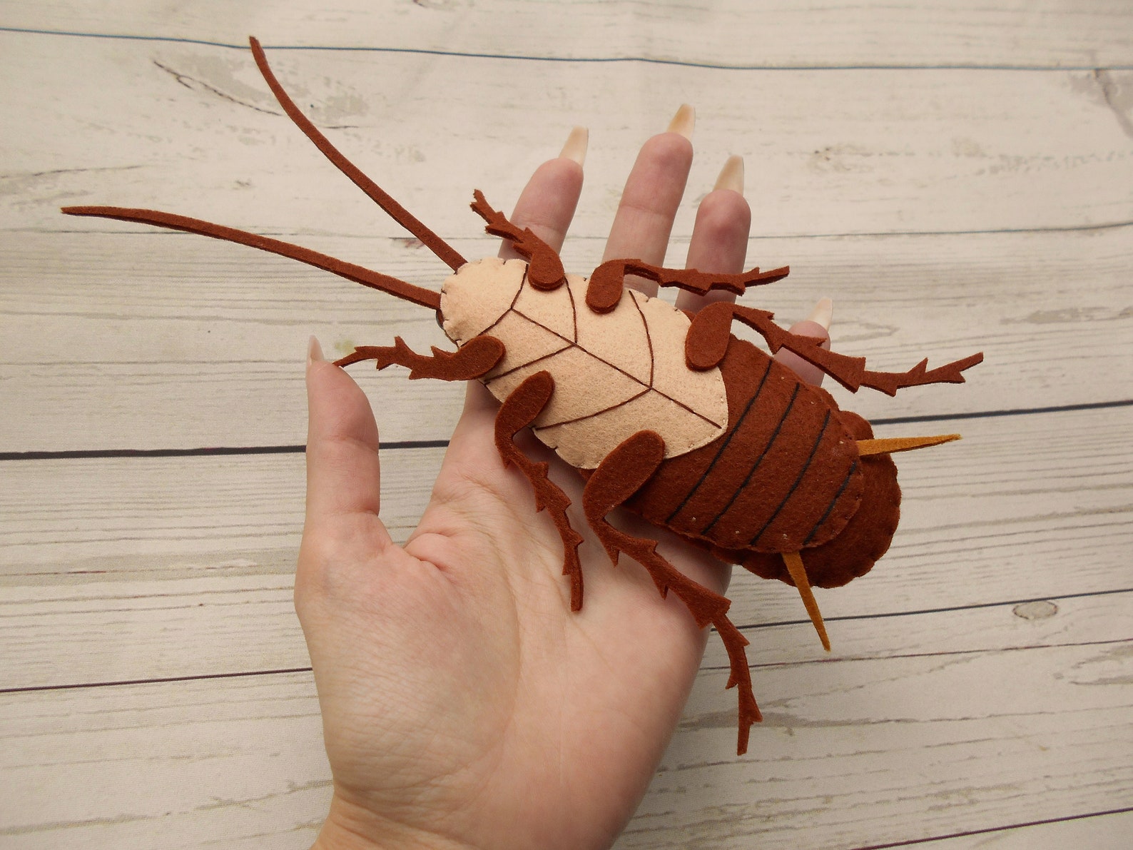 Cockroach Realistic Figure Felted American Cockroach Insect Figure Felt ...