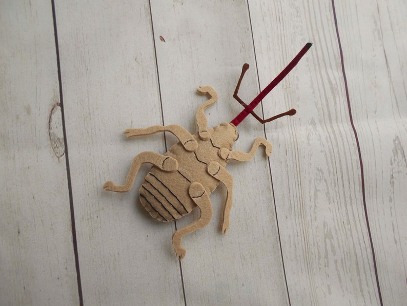 Felt Weevil Realistic Toy Felted Weevil Young Naturalist | Etsy