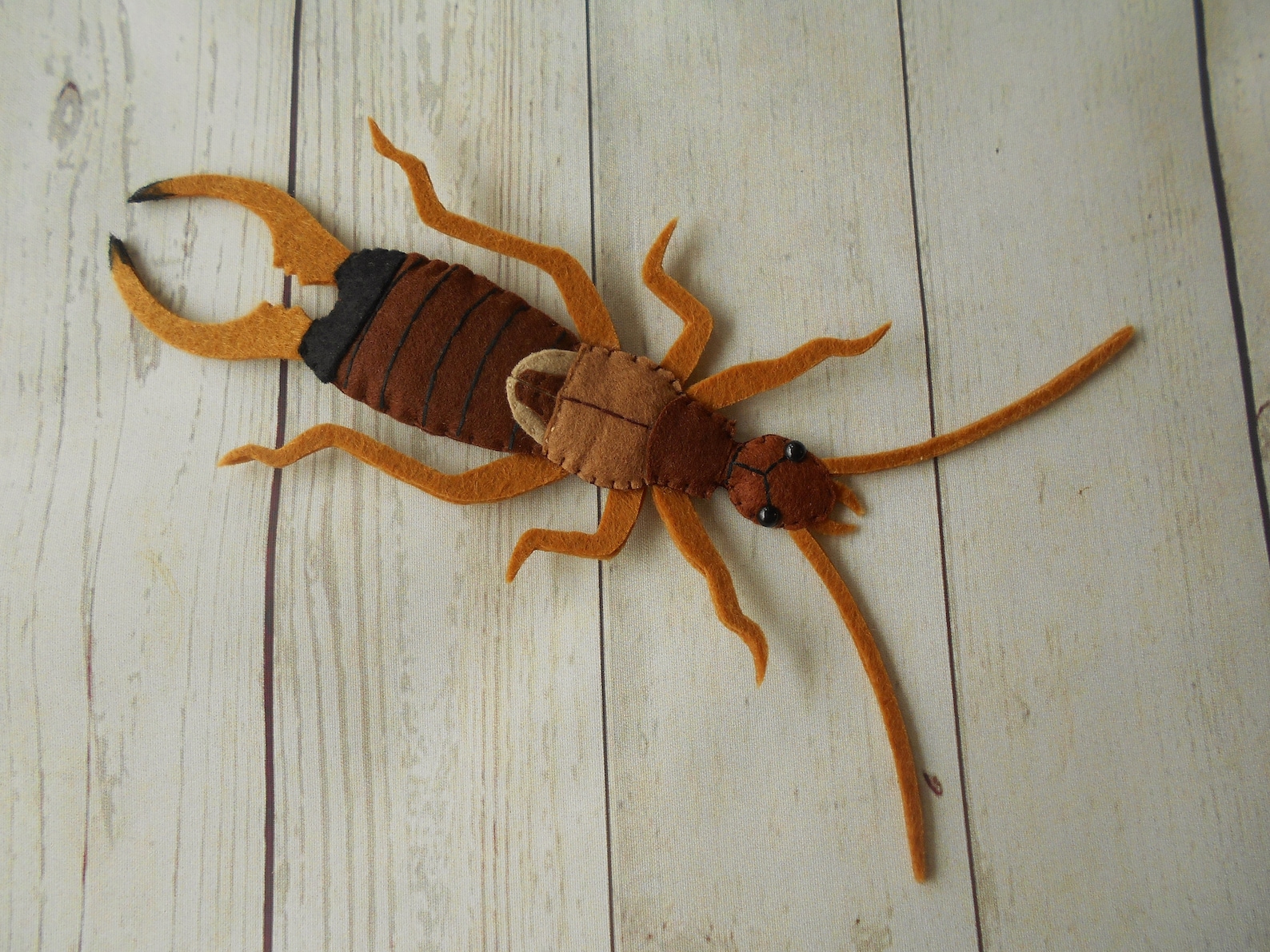 Felted Bug Toy Realistic Bugs Toys From Felt Realistic Earwig - Etsy Canada