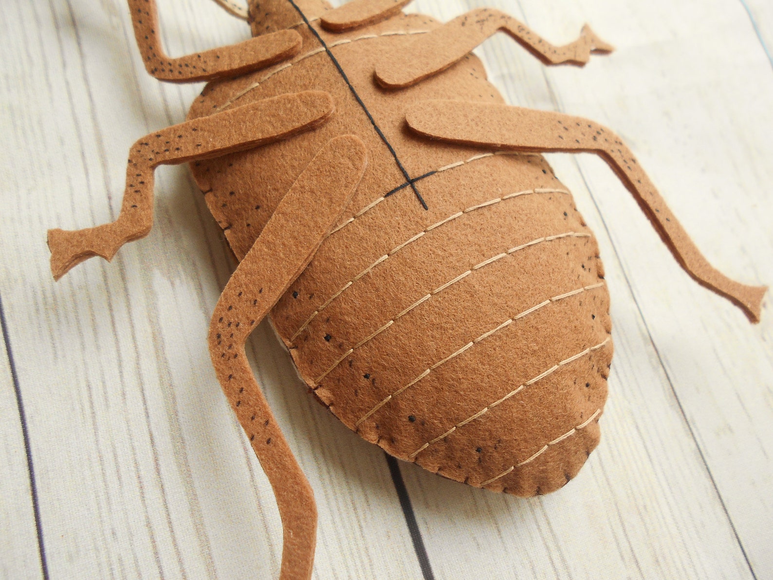 Felted Stinkbug Toy Realistic Beetle Felted Toy Young Naturalist Gift ...
