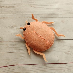 Realistic Peach Novius Ladybug From Felt Orange Lady Beetle Felt ...