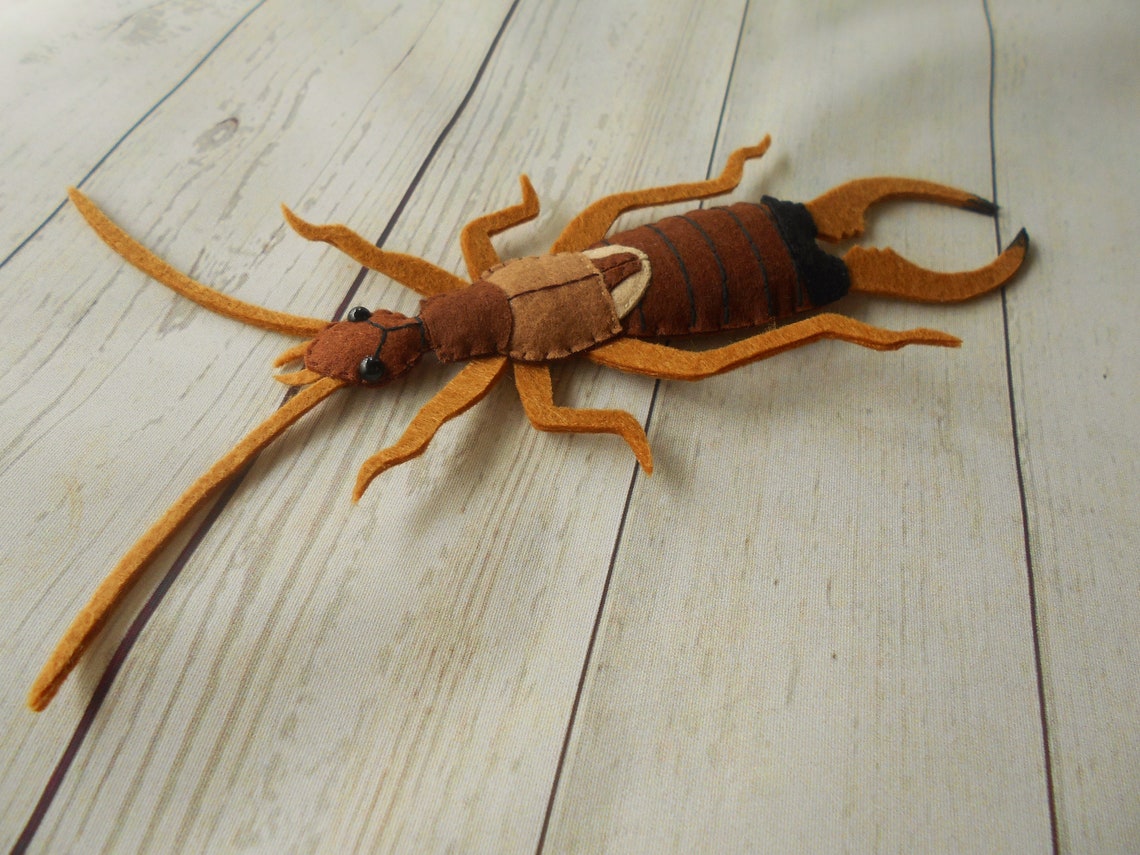 Felted bug toy Realistic bugs toys from felt Realistic earwig | Etsy