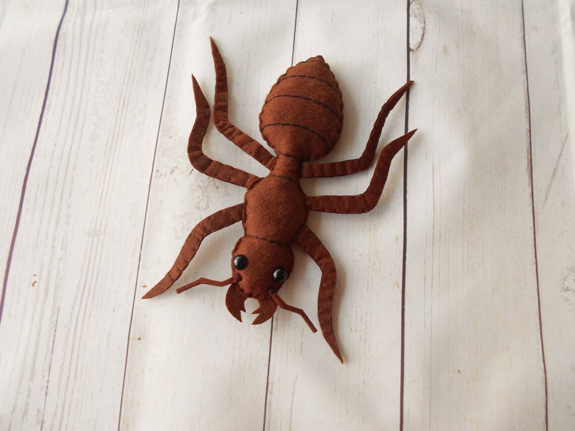 Felt Ant Felted Ant Learn Bugs Felt Bug Felt Insects Felted Insects ...
