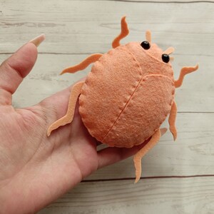 Realistic Peach Novius Ladybug From Felt Orange Lady Beetle Felt ...