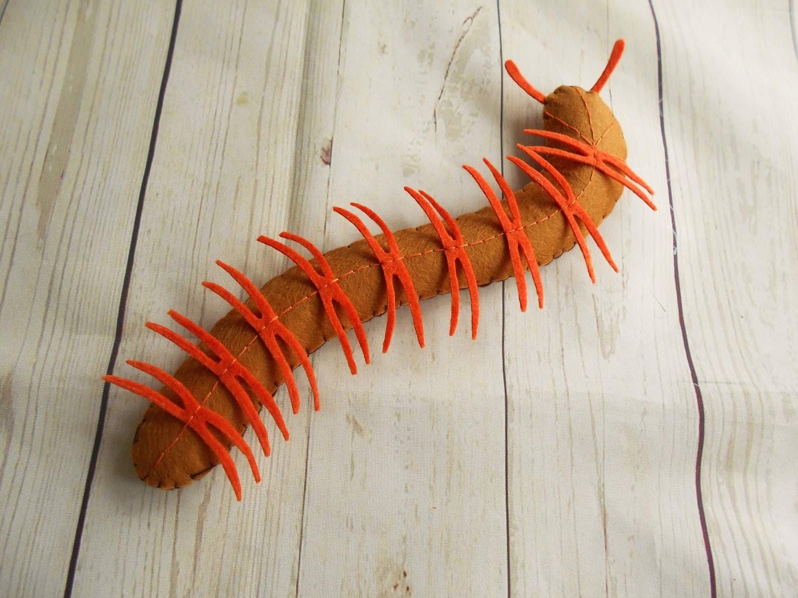Realistic Millipede From Felt for Young Naturalist Felted Millipede ...