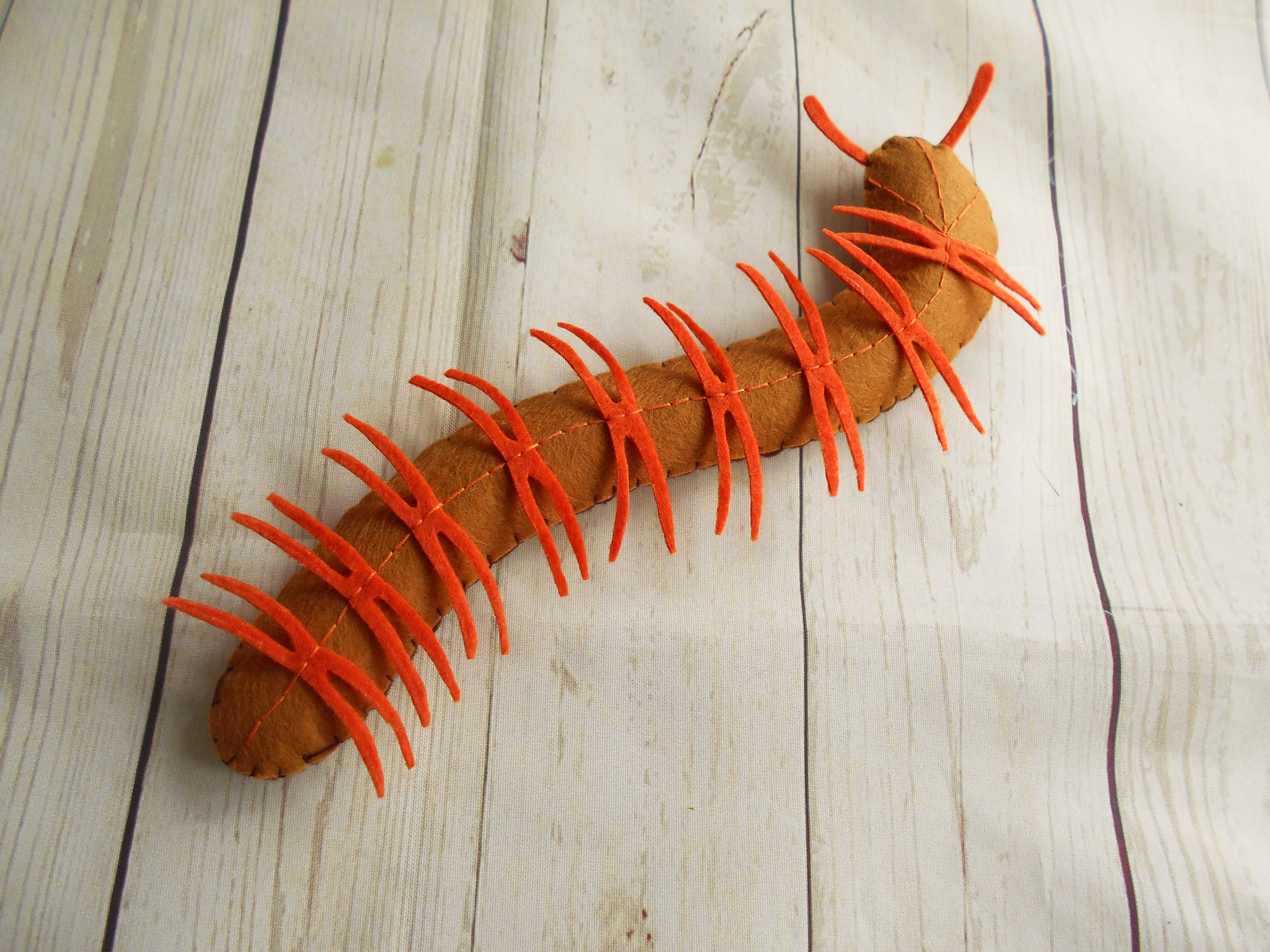 Realistic Millipede From Felt for Young Naturalist Felted Millipede ...