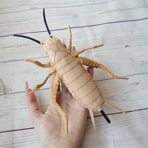 Realistic Hawaiian Cricket From Felt Laupala Cricket Figurine Felted ...