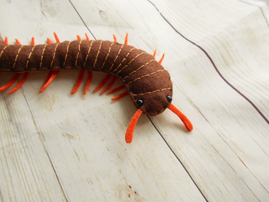 Realistic Millipede From Felt for Young Naturalist Felted Millipede ...