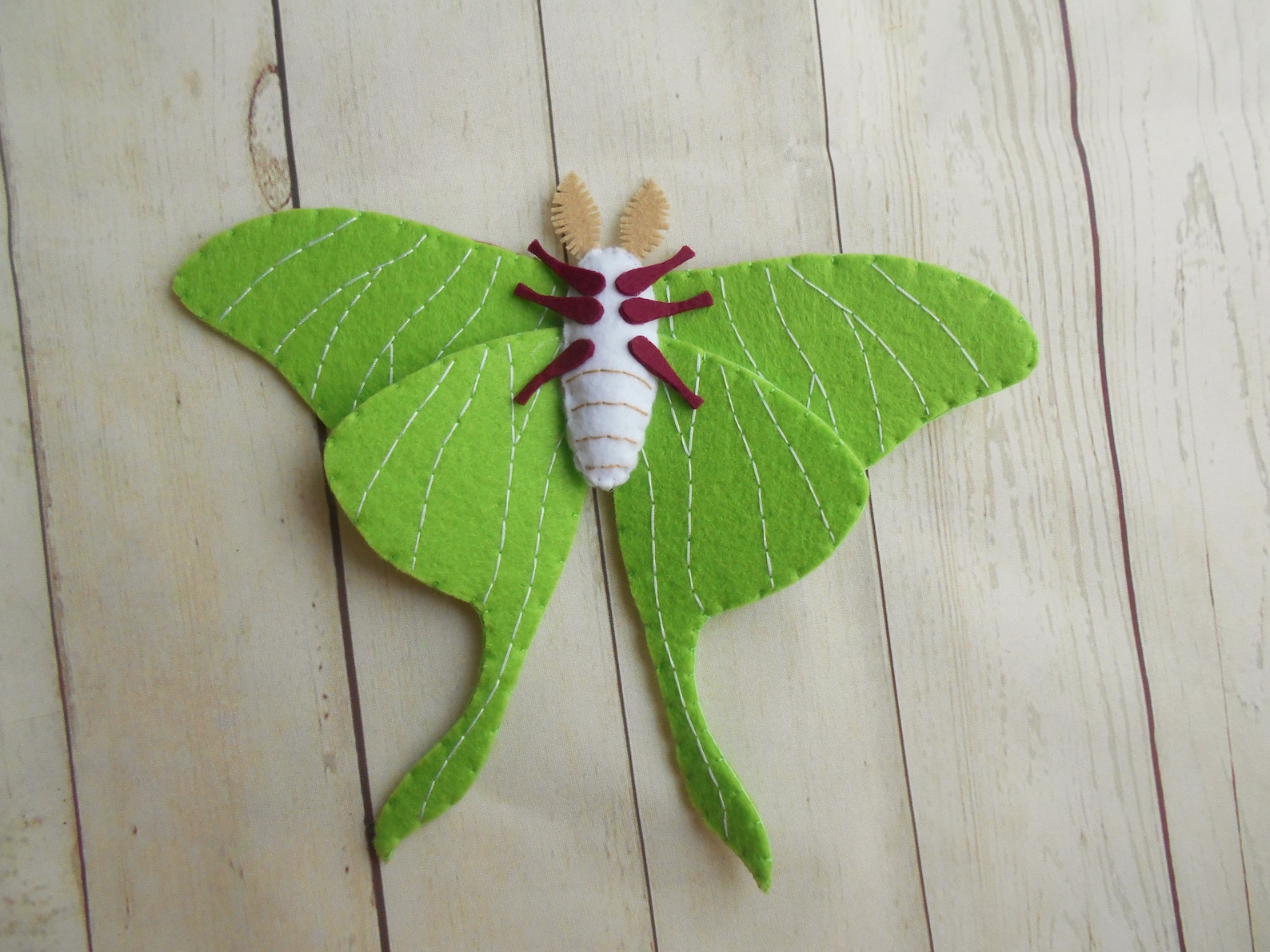Realistic Felted Luna Moth Young Naturalist Gift Felt Moth - Etsy