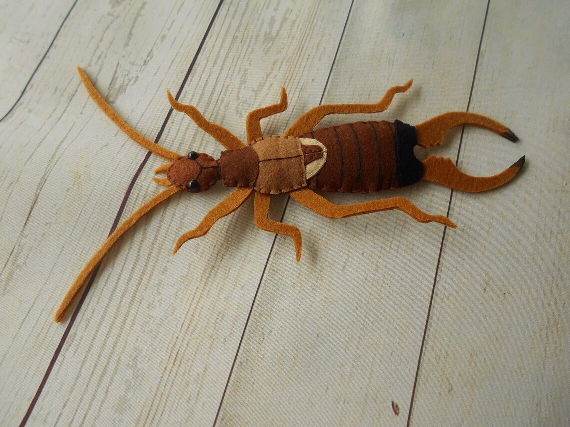 Felted Bug Toy Realistic Bugs Toys From Felt Realistic Earwig | Etsy