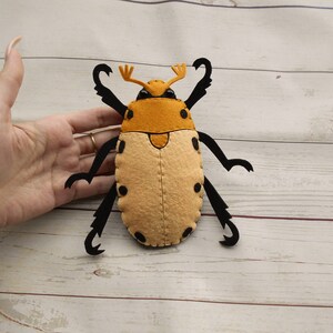 Realistic Grapevine Beetle From Felt Felted Pelidnota Punctata Beige ...
