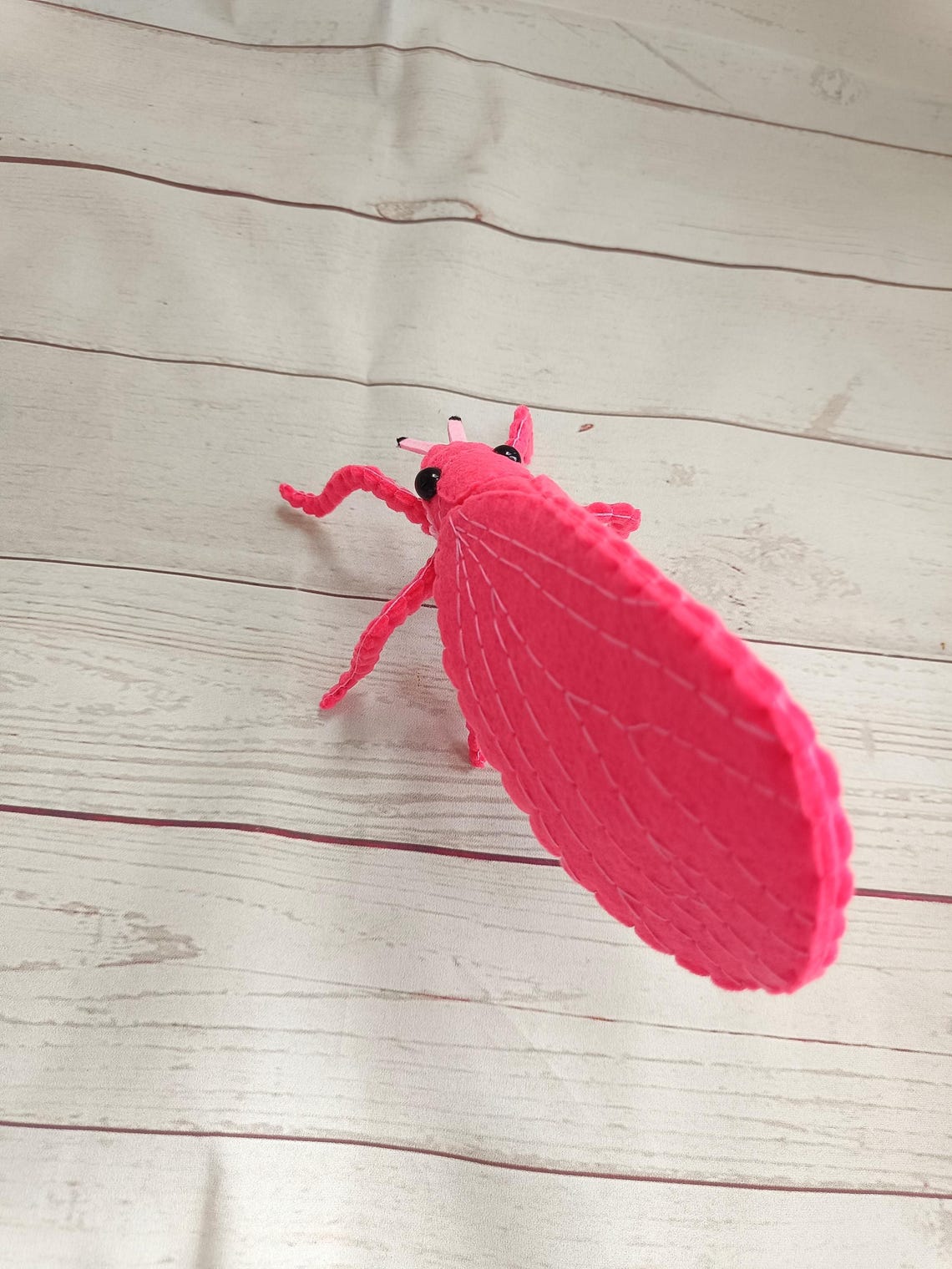 Pink Flatid Leaf Bug From Felt Realistic Felt Leaf Bug Felted Pink Bug ...