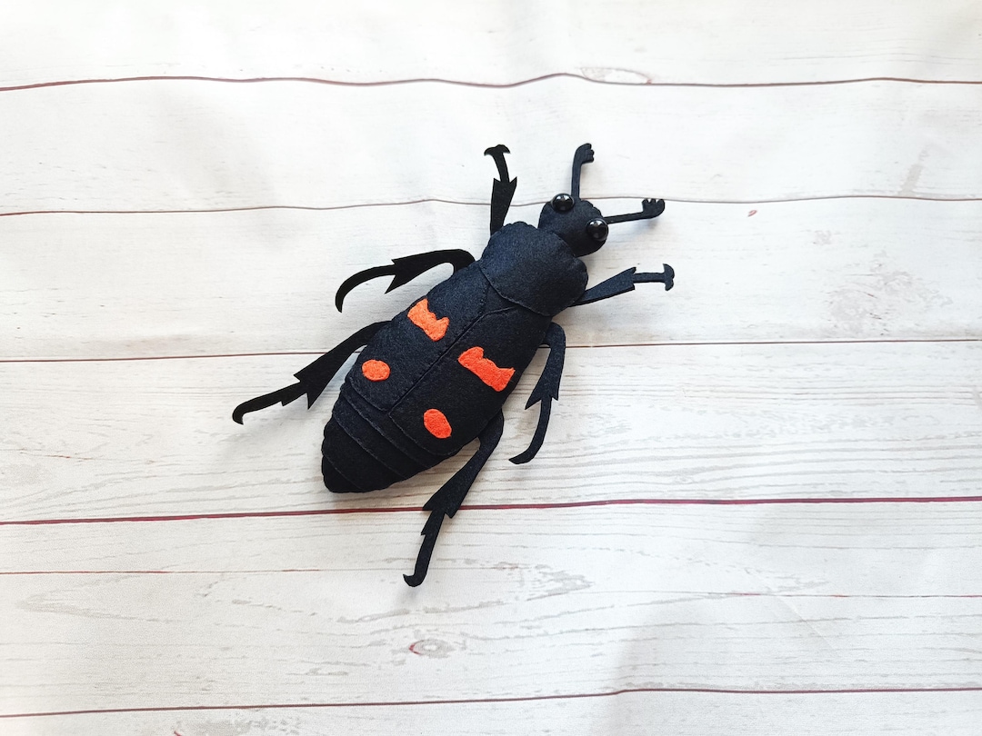 Realistic Roundneck Sexton Beetle From Felt Felted Bug - Entomologist ...