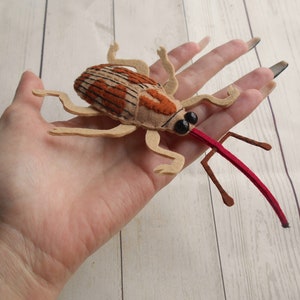 Felt Weevil Realistic Toy Felted Weevil - Young Naturalist Gift Figure ...