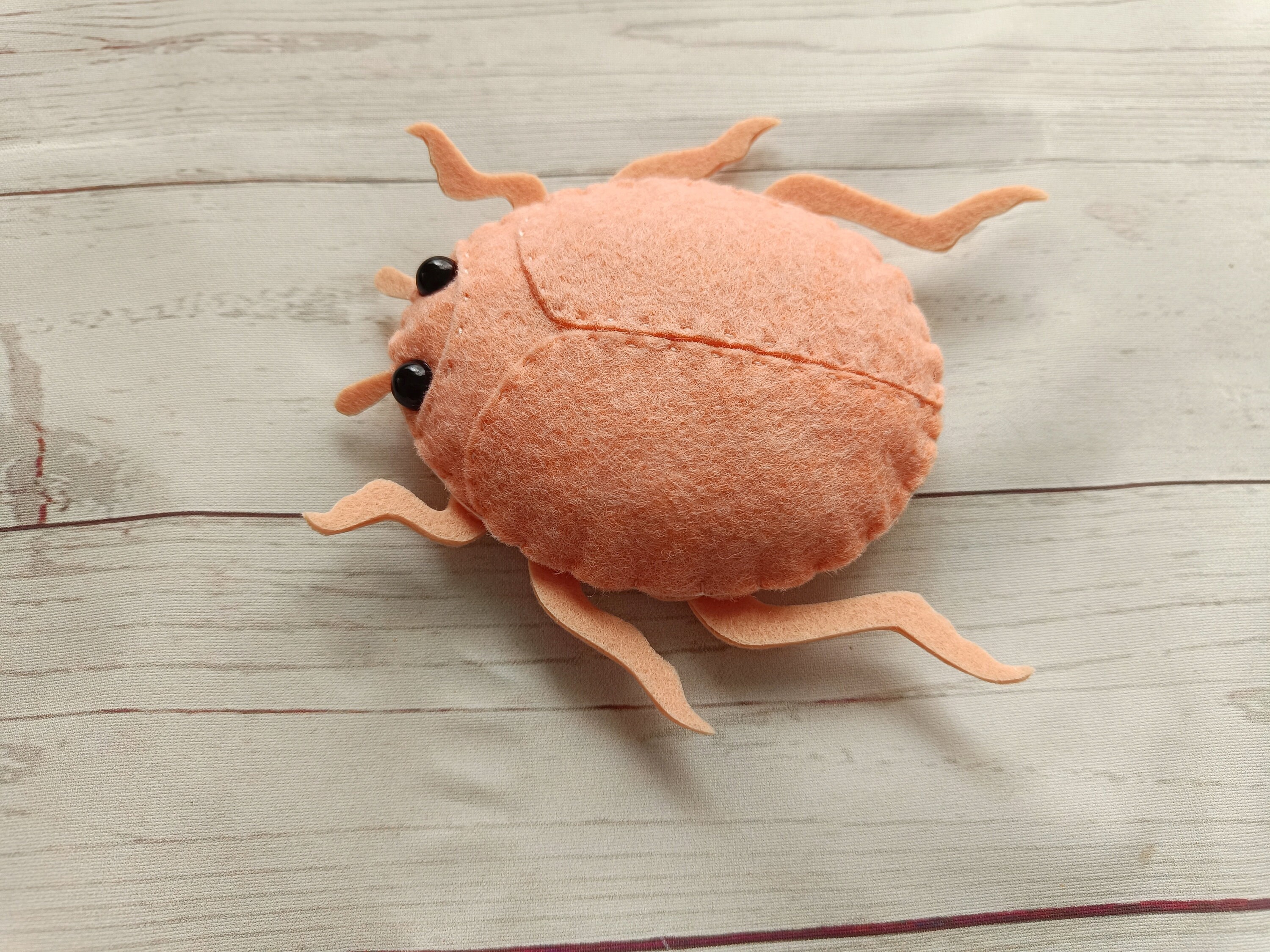 Realistic Peach Novius Ladybug From Felt Orange Lady Beetle Felt ...