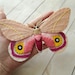 Realistic Automeris Pamina Saturn Moth From Felt Felted Moth Toy Felt ...
