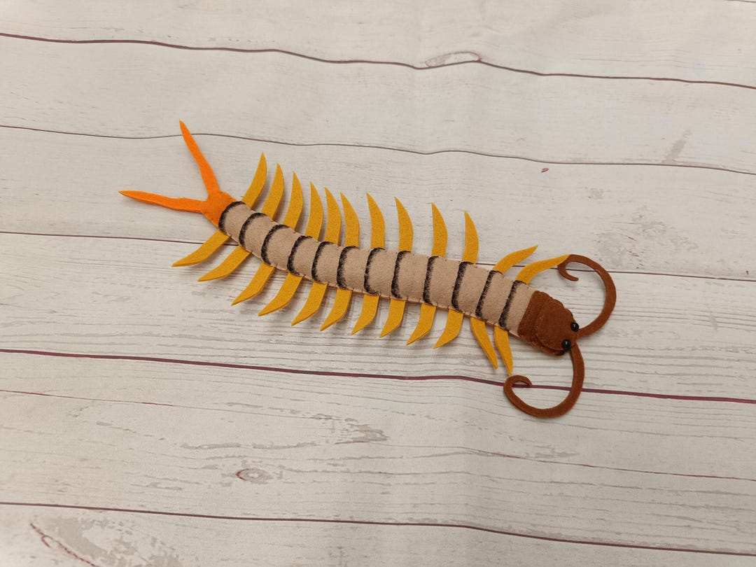 Realistic Centipede Figure From Felt Tiger Centipede Felt Figurine ...