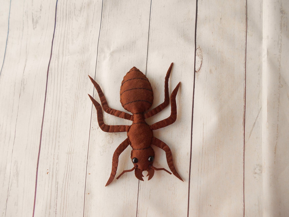 Felt Ant Felted Ant Learn Bugs Felt Bug Felt Insects Felted Insects ...