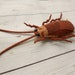 Cockroach Realistic Figure Felted American Cockroach Insect Figure Felt ...