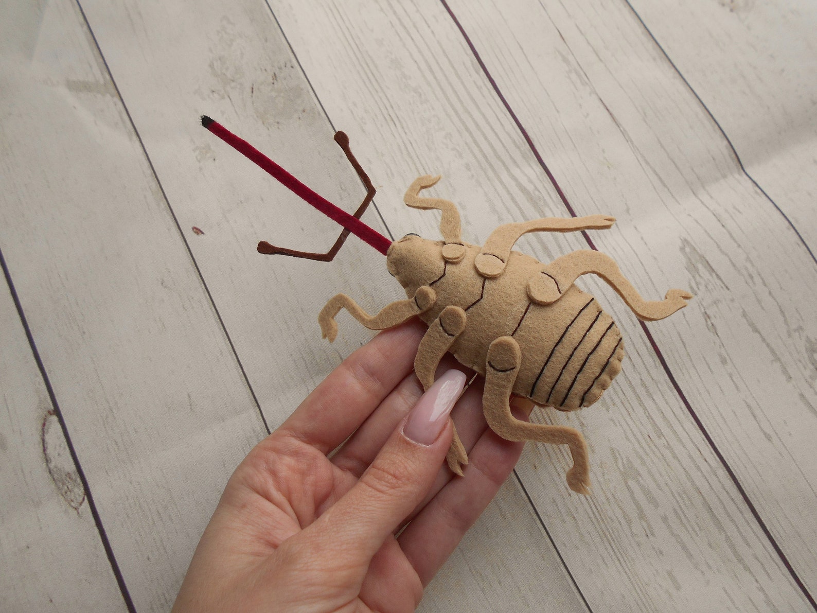 Felt Weevil Realistic Toy Felted Weevil Young Naturalist - Etsy