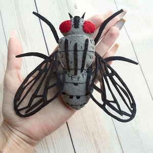 Realistic Felted Bugs Realistic House Fly Felted Fly Felt House Fly ...