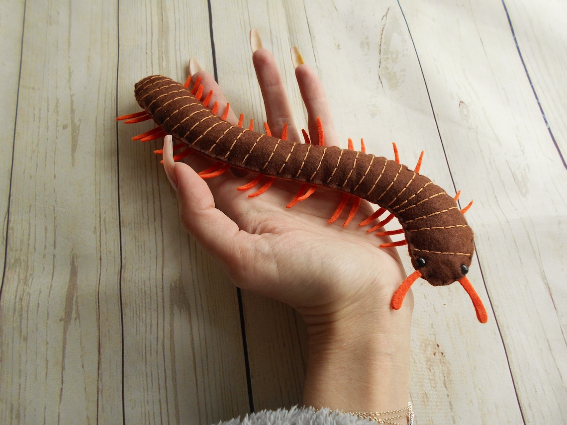 Realistic Millipede From Felt for Young Naturalist Felted Millipede ...