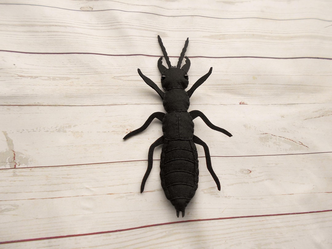 Realistic Devils Coach Horse Beetle Black Beetle From Felt Black Felted ...