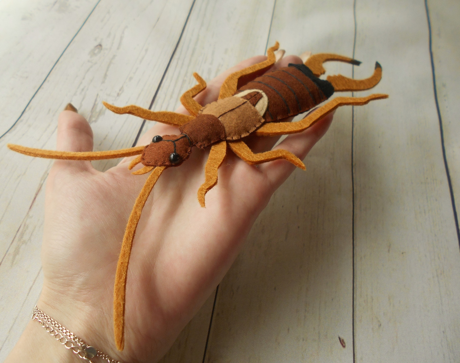 Felted bug toy Realistic bugs toys from felt Realistic earwig | Etsy