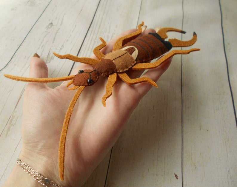Felted Bug Toy Realistic Bugs Toys From Felt Realistic Earwig | Etsy