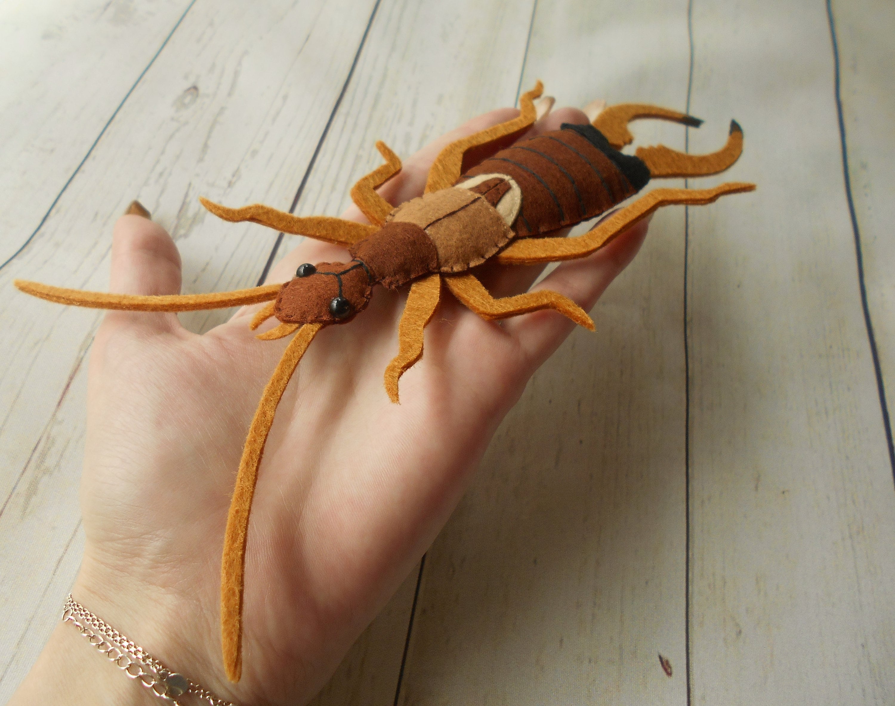 Felted bug toy Realistic bugs toys from felt Realistic earwig | Etsy