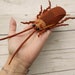 Cockroach Realistic Figure Felted American Cockroach Insect Figure Felt ...
