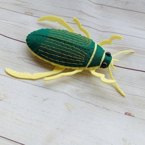Realistic Great Diving Beetle Felted Great Diving Bug Water Bug From ...