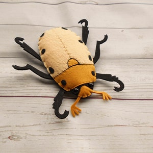 Realistic Grapevine Beetle From Felt Felted Pelidnota Punctata Beige ...