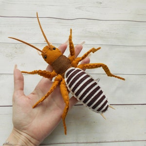 Realistic Jerusalem Cricket From Felt Cricket Figurine Felted Bugs ...