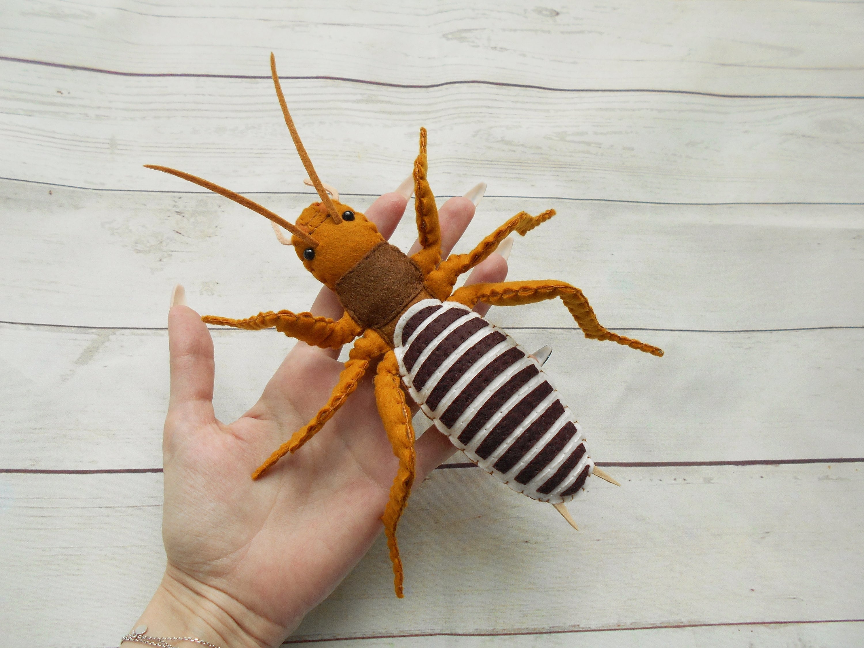 Realistic Jerusalem Cricket From Felt Cricket Figurine Felted Bugs ...
