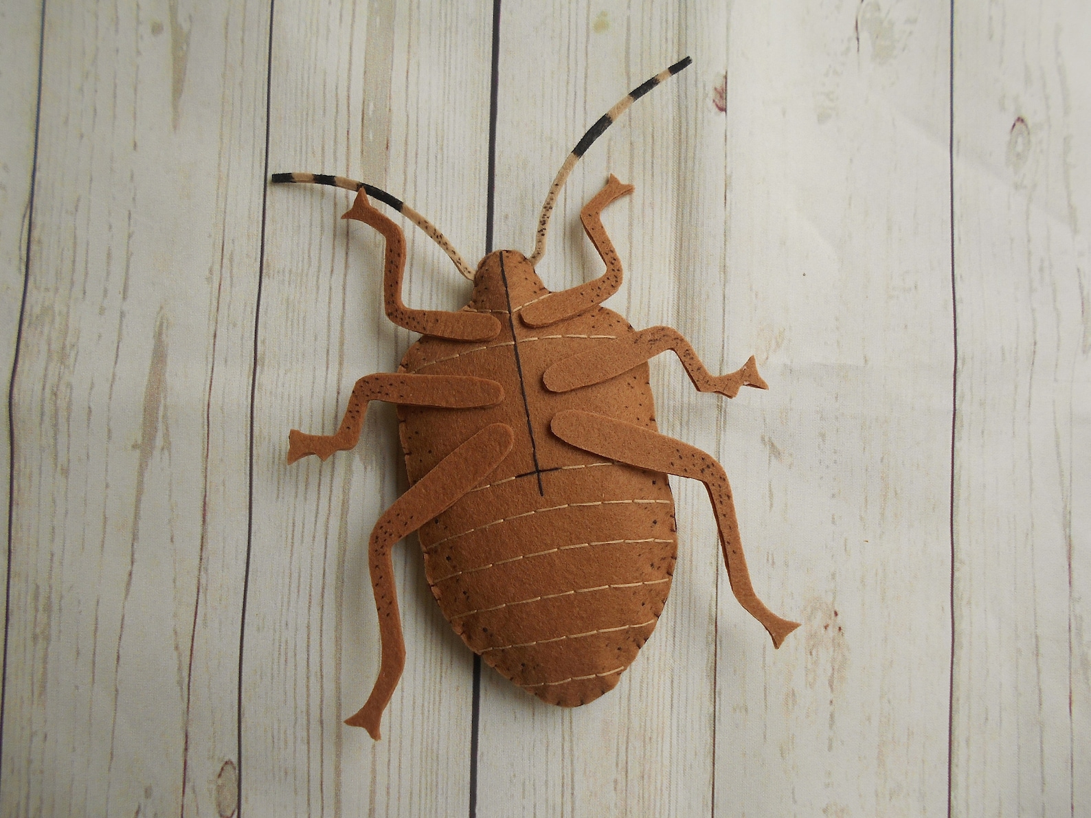 Felted Stinkbug Toy Realistic Beetle Felted Toy Young Naturalist Gift ...