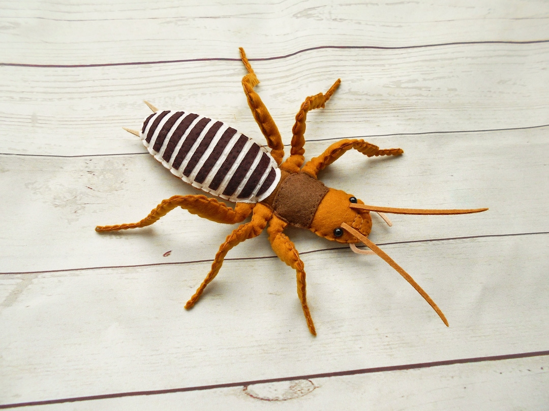 Realistic Jerusalem Cricket From Felt Cricket Figurine Felted Bugs ...