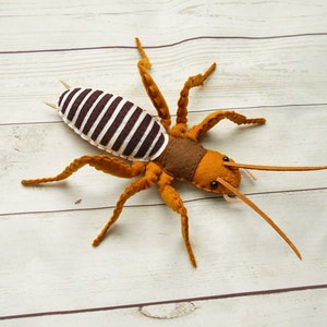 Realistic Jerusalem Cricket From Felt Cricket Figurine Felted Bugs ...