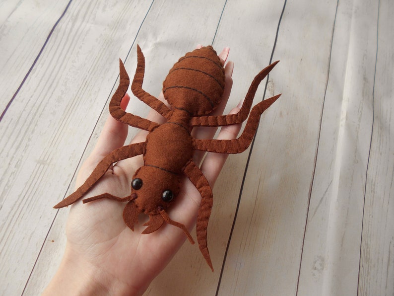 Felt Ant Felted Ant Learn Bugs Felt Bug Felt Insects Felted - Etsy