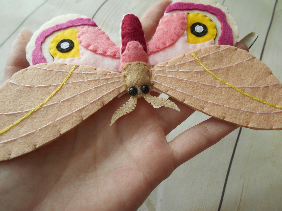 Realistic Automeris Pamina Saturn Moth From Felt Felted Moth - Etsy