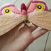 Realistic Automeris Pamina Saturn Moth From Felt Felted Moth Toy Felt ...