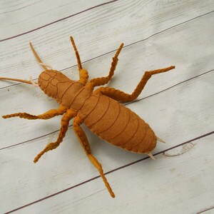 Realistic Jerusalem Cricket From Felt Cricket Figurine Felted Bugs ...