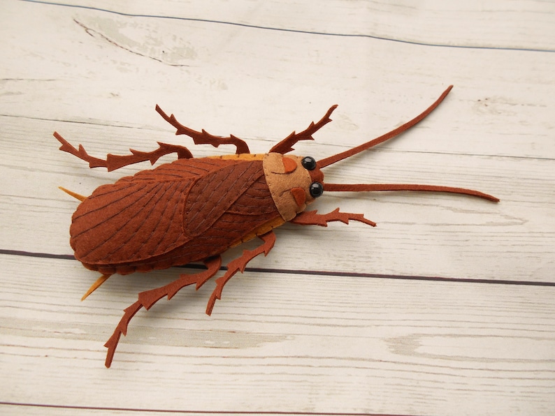 Cockroach Realistic Figure Felted American Cockroach Insect - Etsy