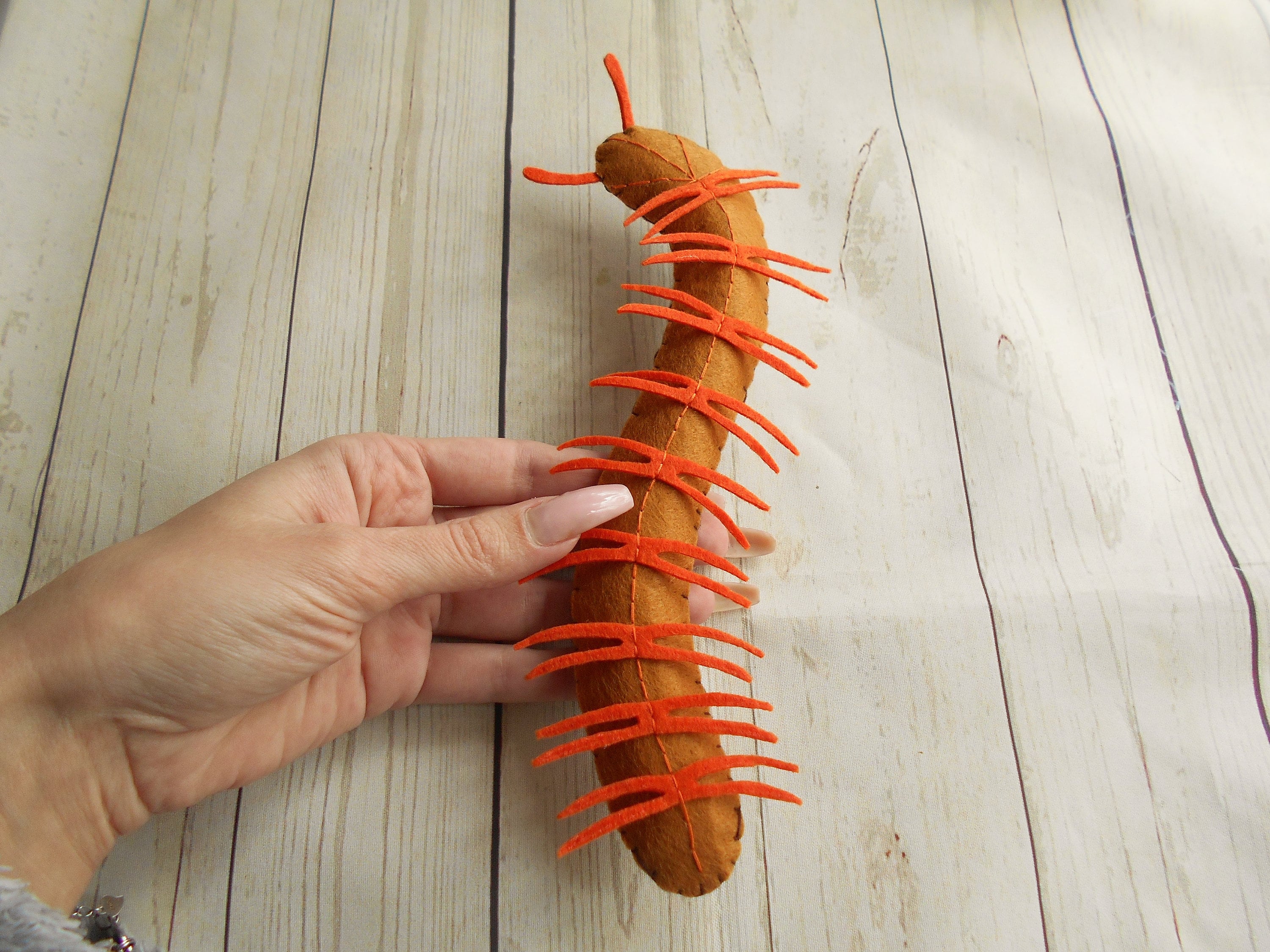 Realistic Millipede From Felt for Young Naturalist Felted - Etsy UK
