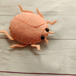 Realistic Peach Novius Ladybug From Felt Orange Lady Beetle Felt ...