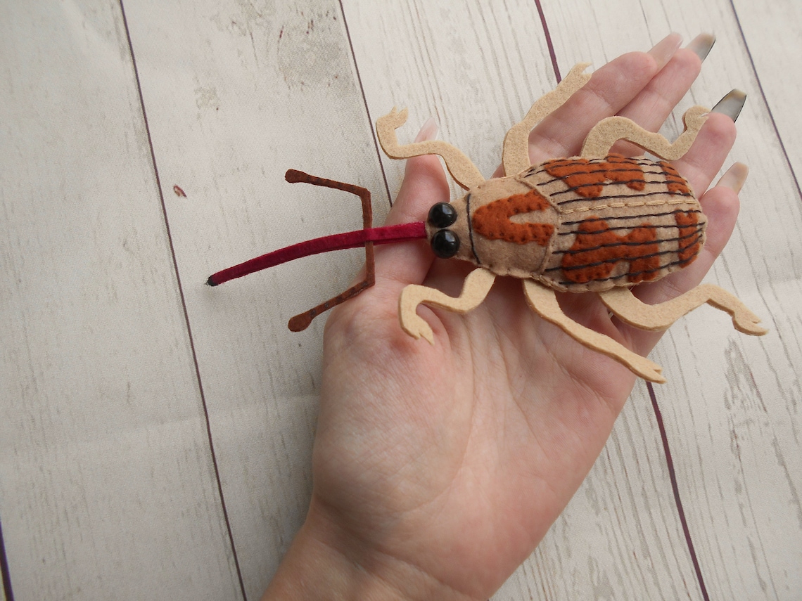 Felt Weevil Realistic Toy Felted Weevil Young Naturalist | Etsy