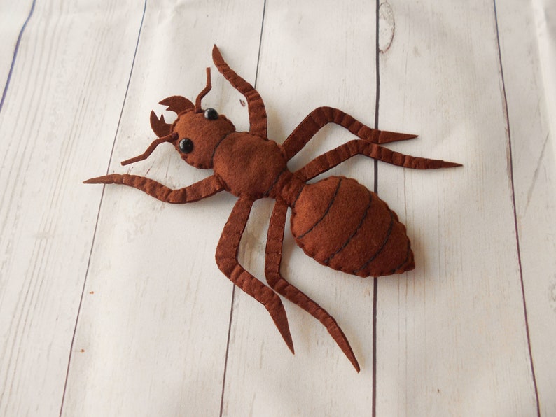 Felt Ant Felted Ant Learn Bugs Felt Bug Felt Insects Felted Insects ...