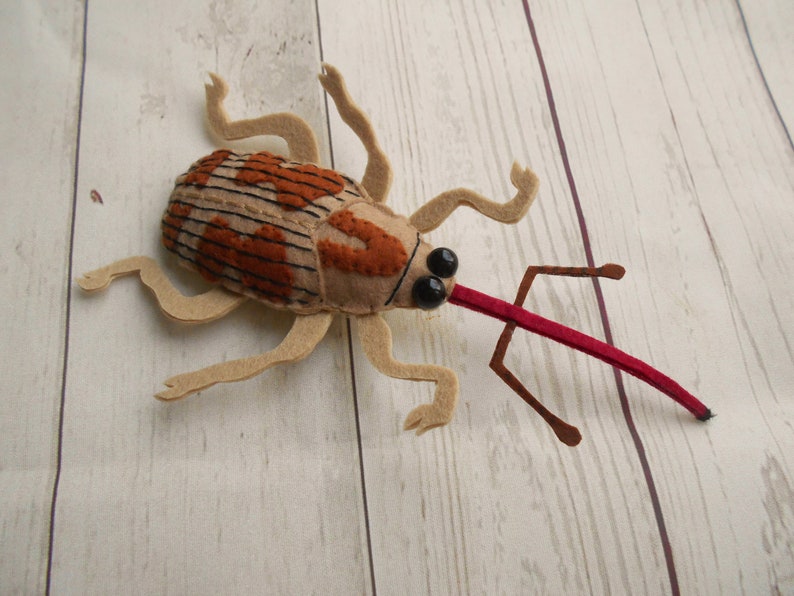 Felt Weevil Realistic Toy Felted Weevil Young Naturalist - Etsy