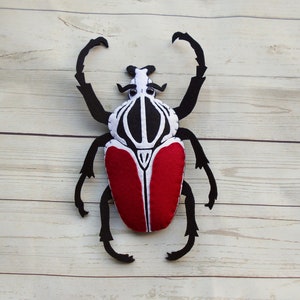 Realistic Red Goliath Beetle Felted Red Beetle Goliath Figurine Young ...