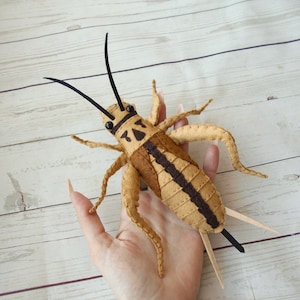 Realistic Hawaiian Cricket From Felt Laupala Cricket Figurine Felted ...